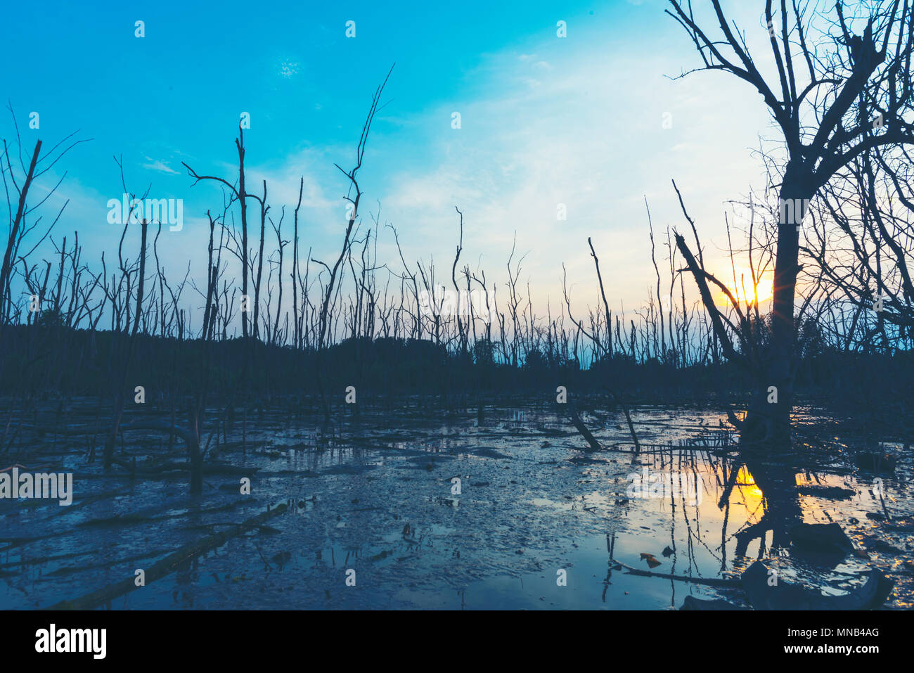 Natural scence hi-res stock photography and images - Alamy