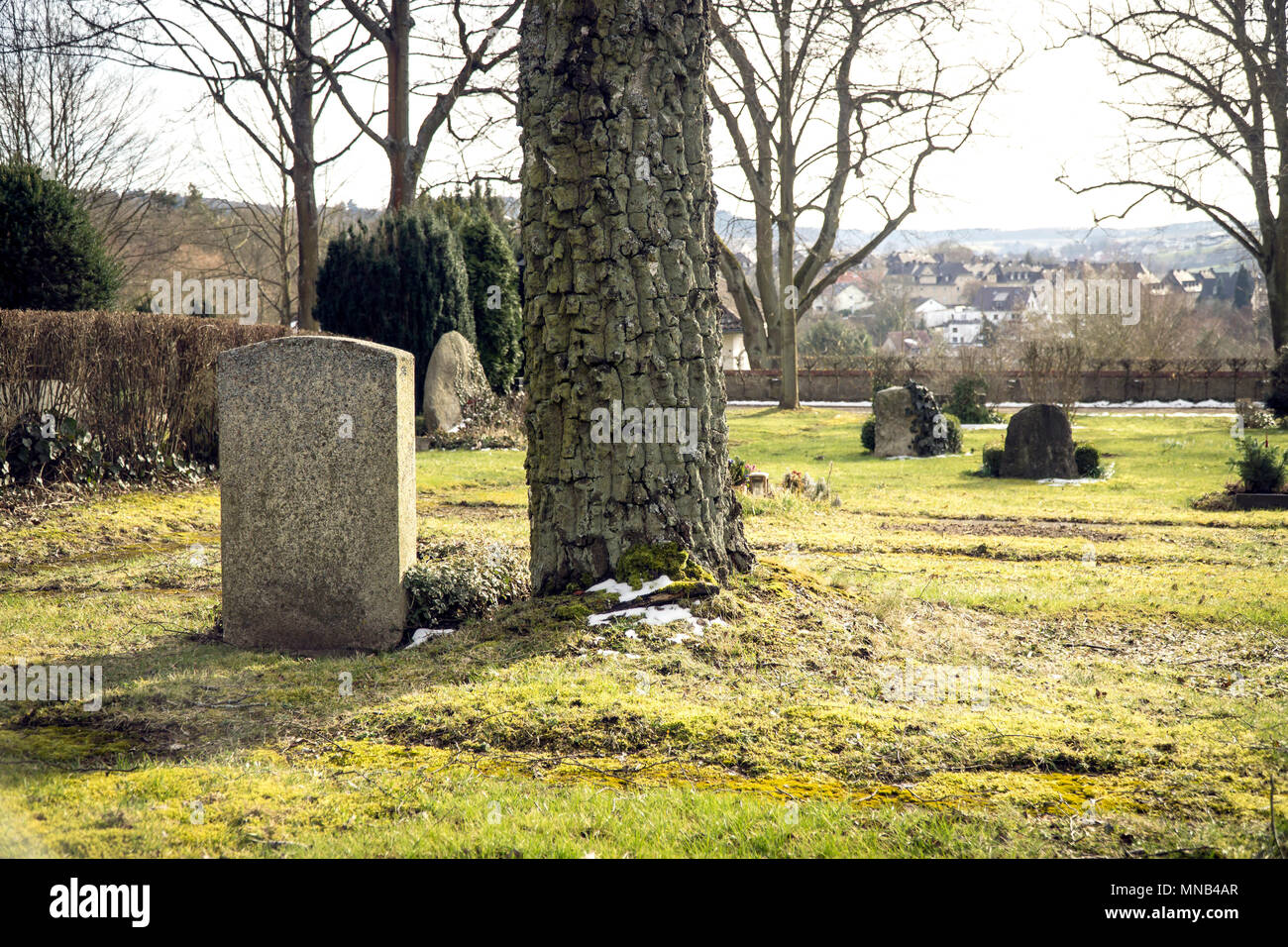 Tree trunk grave headstone hi-res stock photography and images - Alamy
