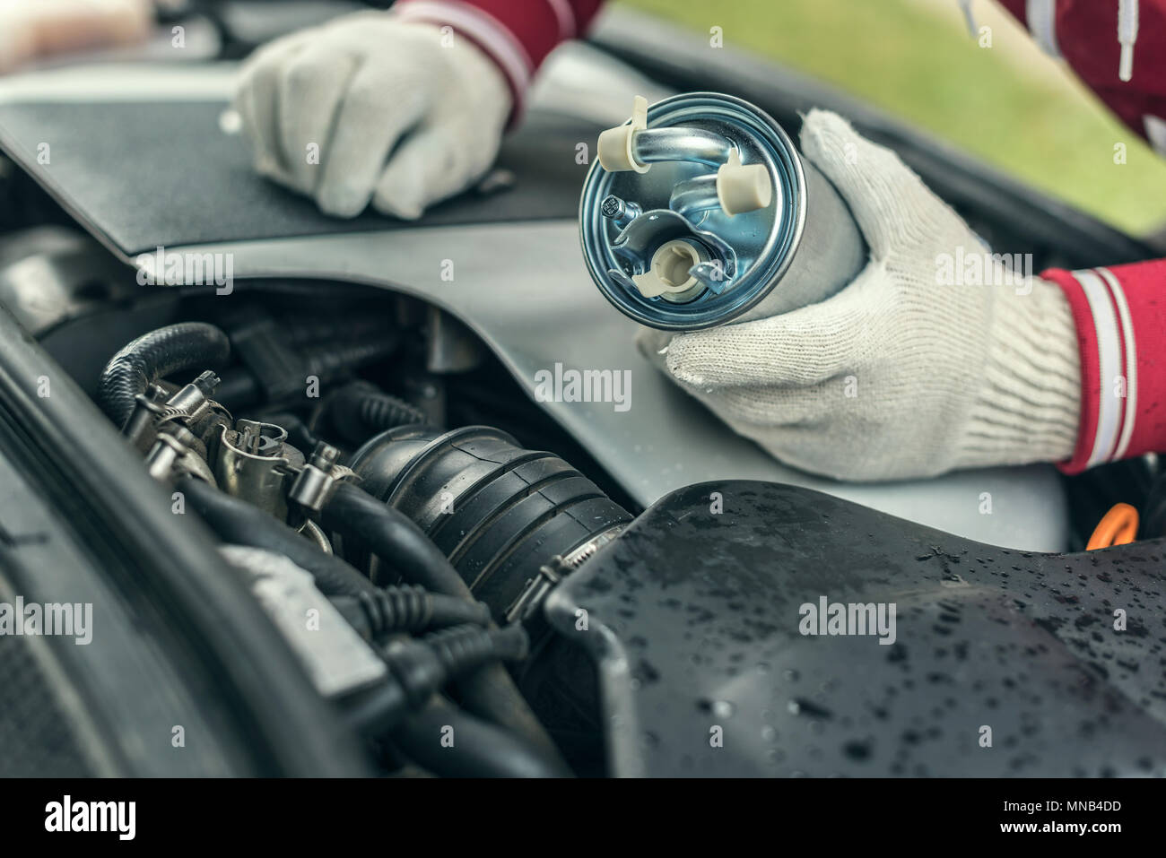 An auto mechanic replaces a car's fuel filter Stock Photo - Alamy