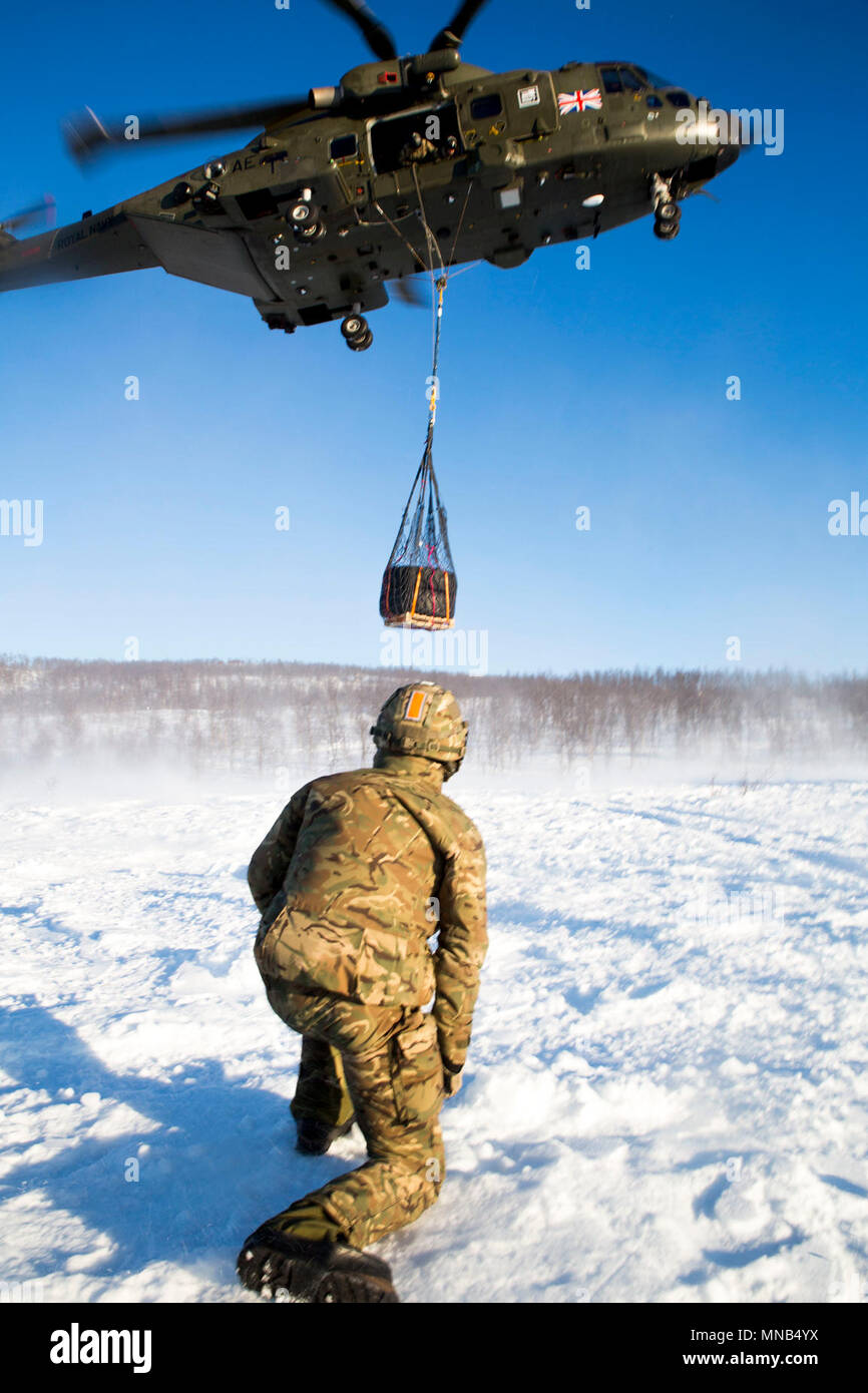 Royal marines in arctic hi-res stock photography and images - Alamy