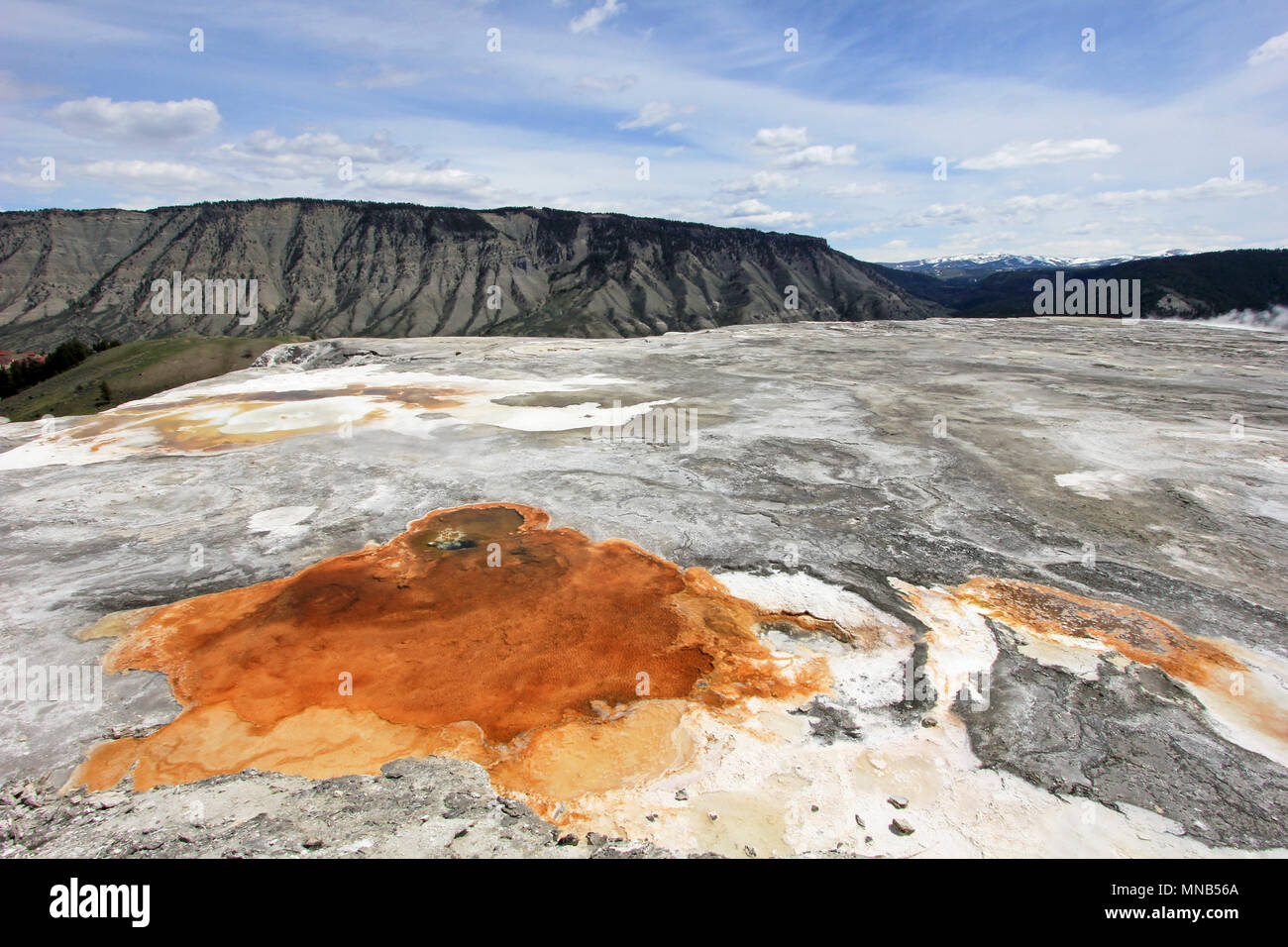 White sulphur springs hi-res stock photography and images - Alamy