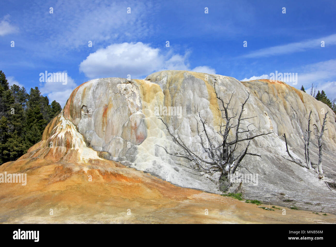 Orange Spring Mound, Mammoth Hot Springs, Yellowstone National Park ...