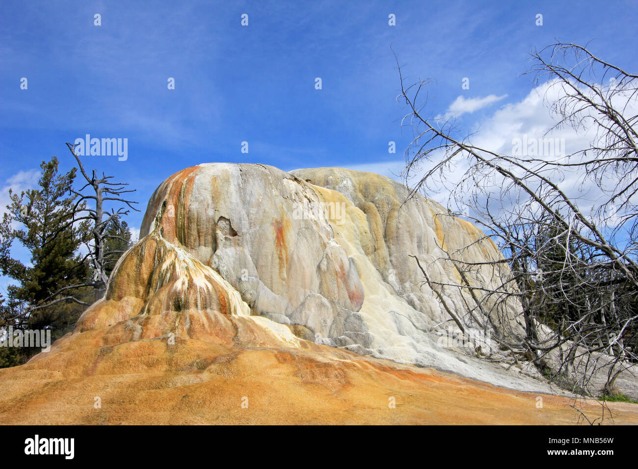 Orange Spring Mound, Mammoth Hot Springs, Yellowstone National Park ...