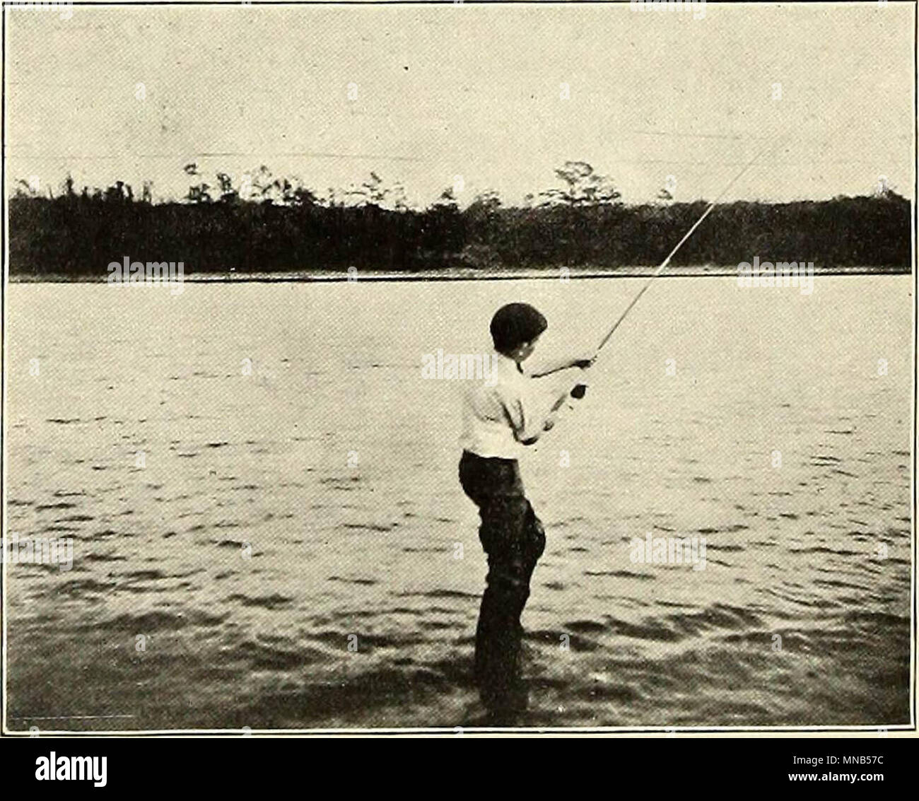 "St. Nicholas [serial]" (1873 Stock Photo - Alamy