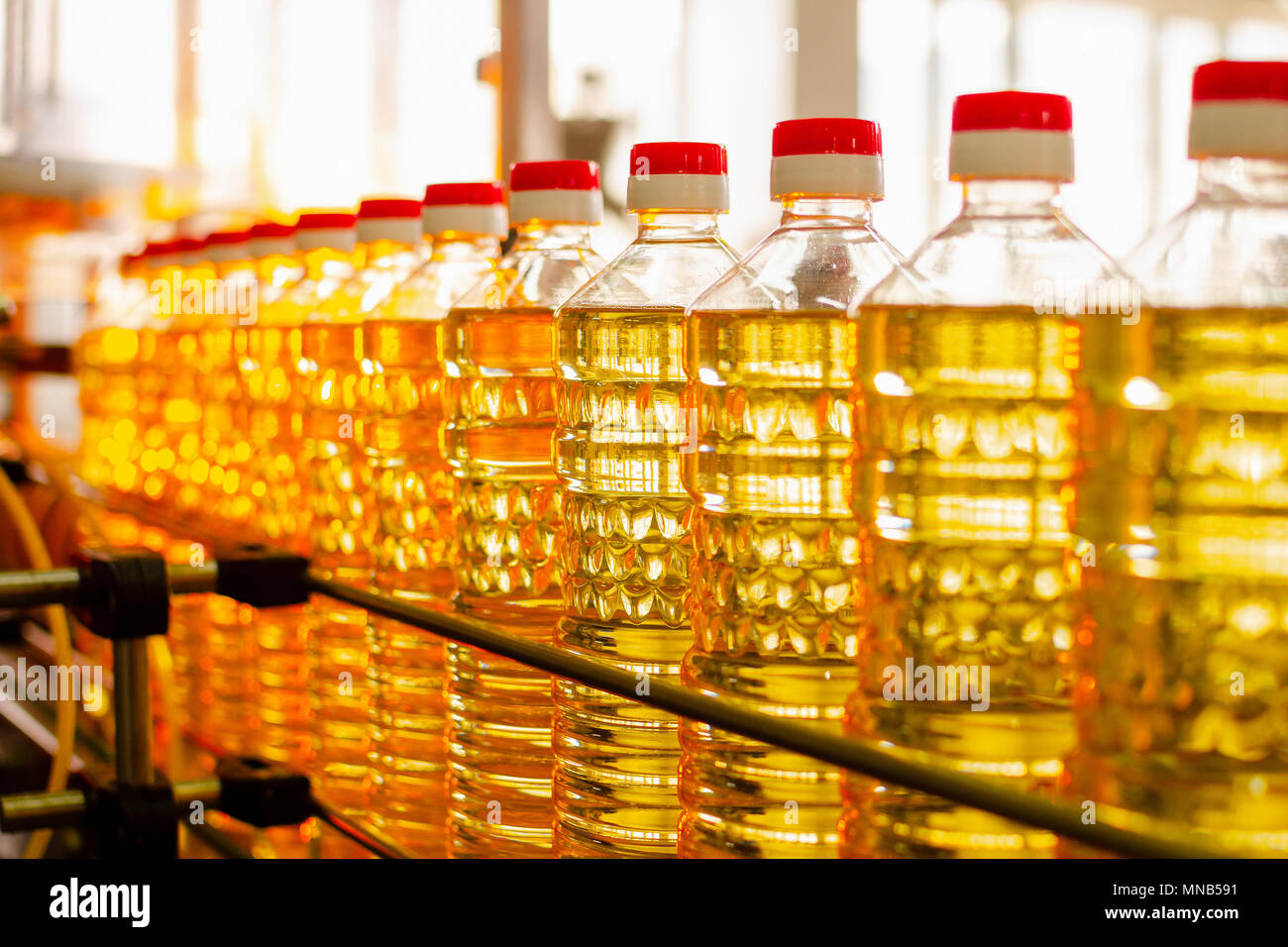 Sunflower oil. Factory line of production and filling of refined oil ...