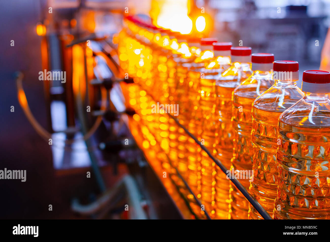 Sunflower oil. Factory line of production and filling of refined oil ...