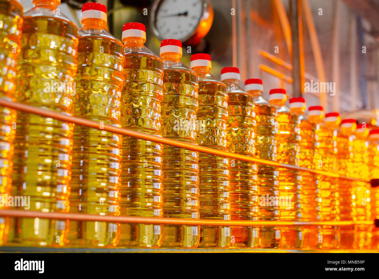 Sunflower oil. Factory line of production and filling of refined oil ...