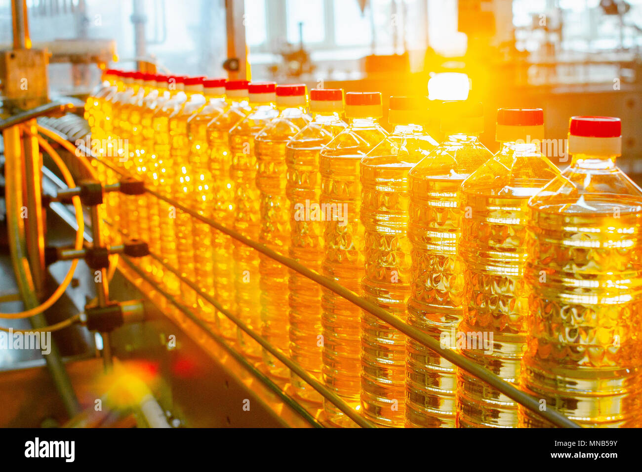 Sunflower oil. Factory line of production and filling of refined oil ...
