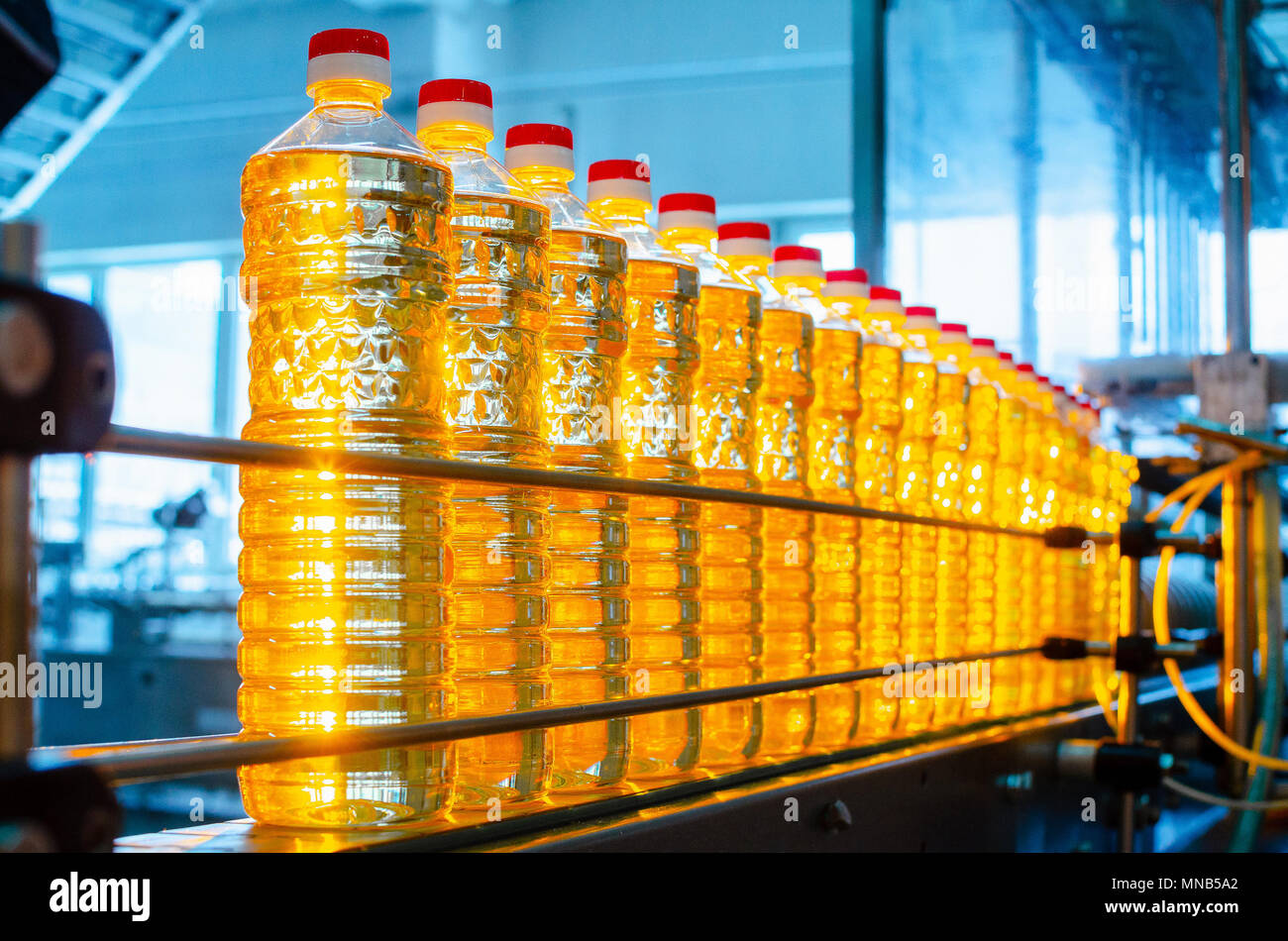 Sunflower oil. Factory line of production and filling of refined oil ...