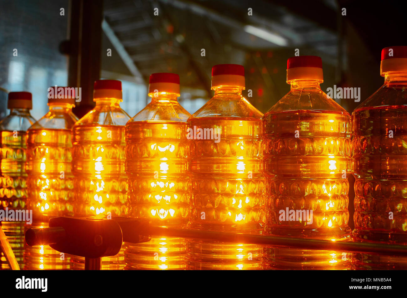 Sunflower oil. Factory line of production and filling of refined oil ...