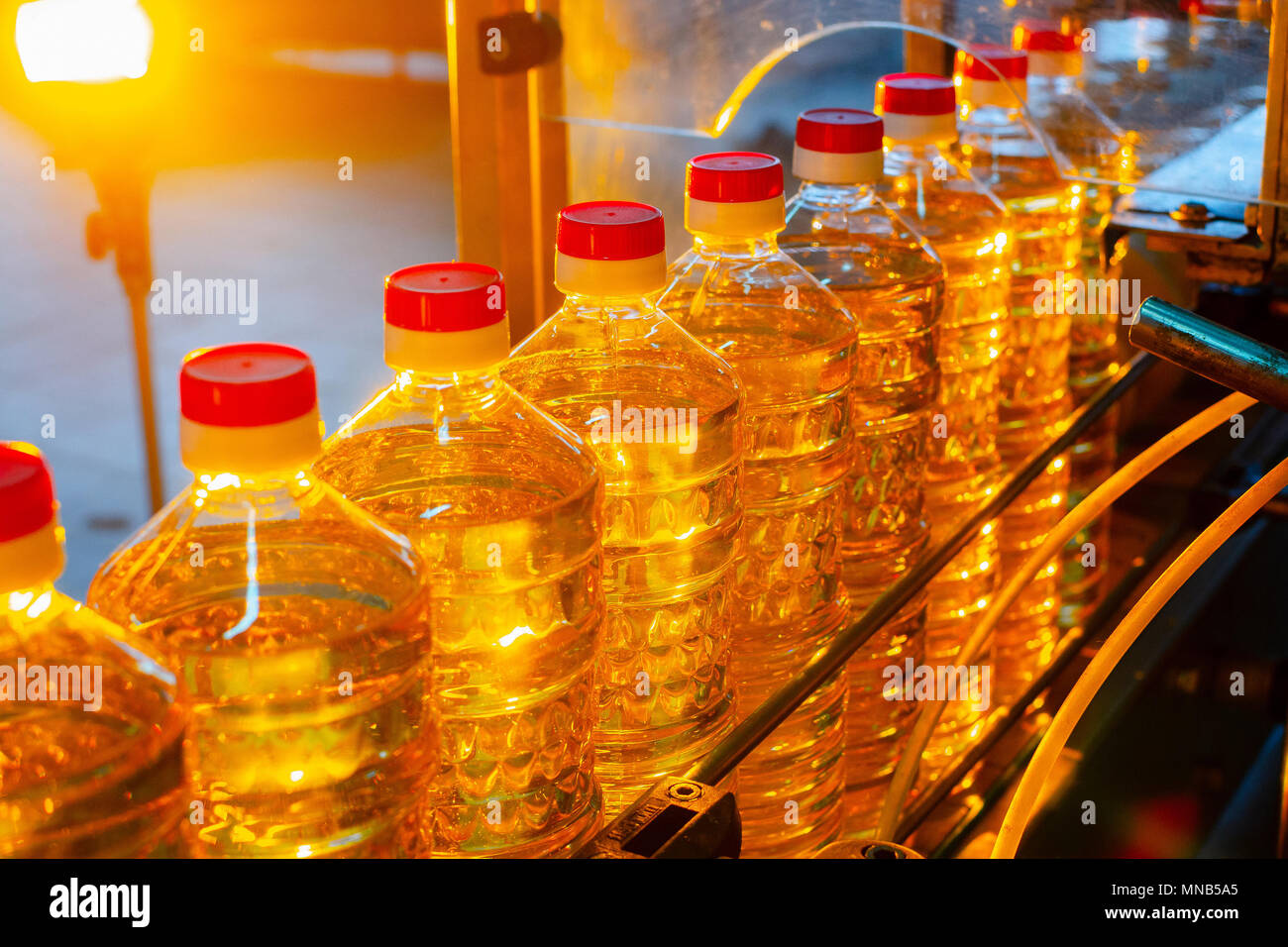 Sunflower oil. Factory line of production and filling of refined oil ...