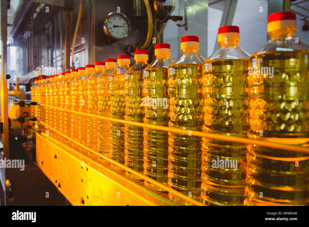 Sunflower oil. Factory line of production and filling of refined oil ...