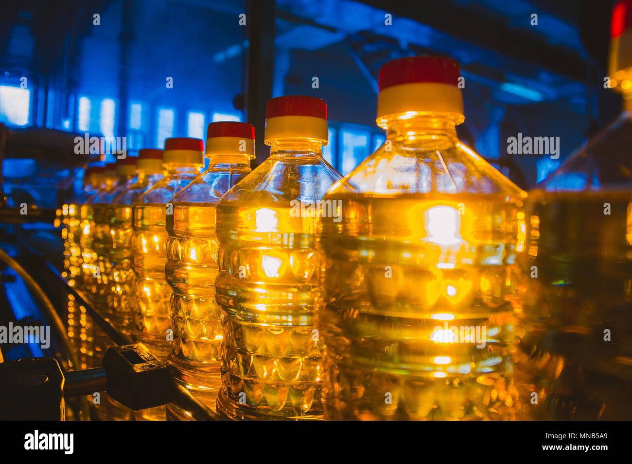 Sunflower oil. Factory line of production and filling of refined oil ...
