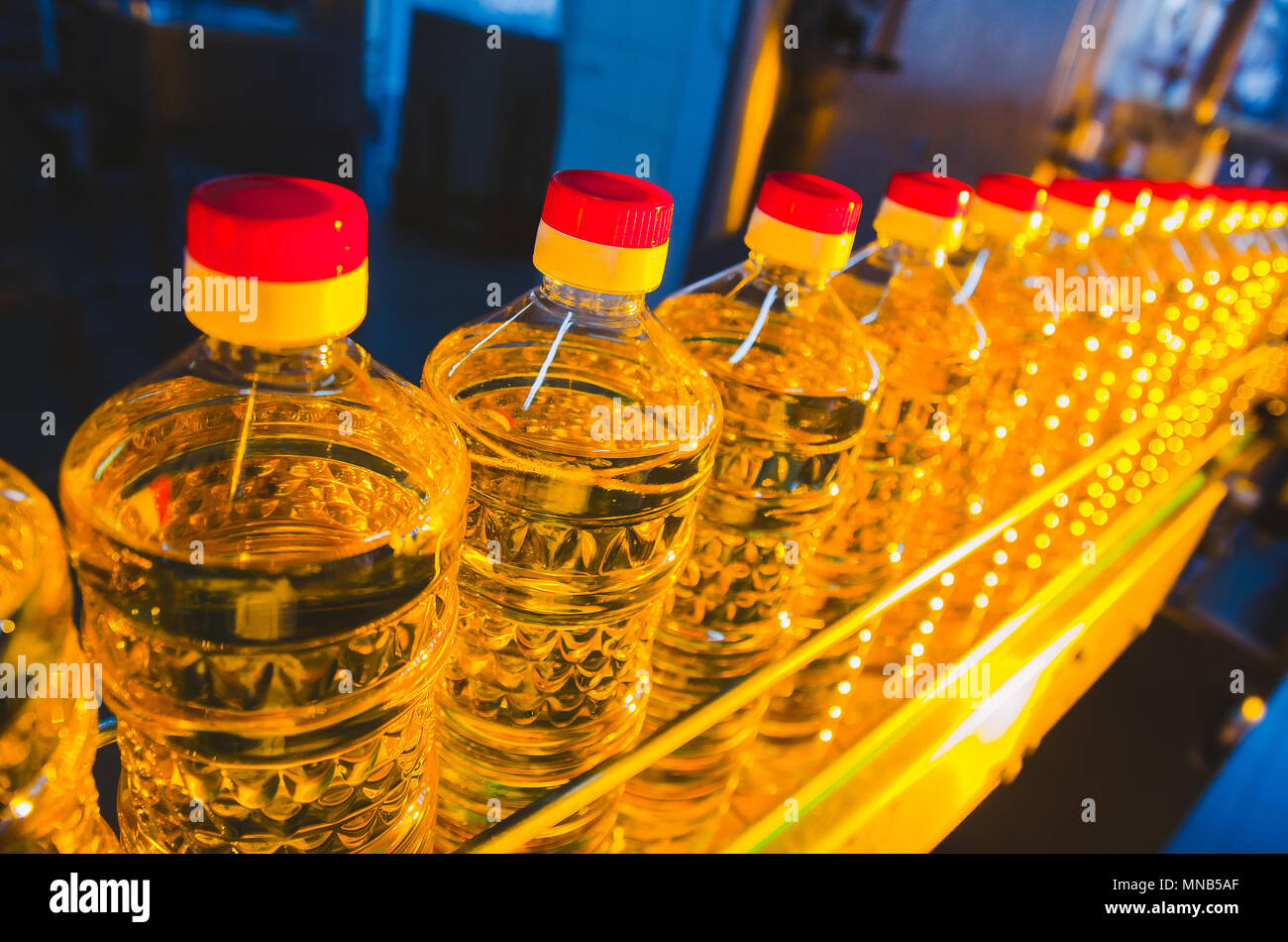 Sunflower oil. Factory line of production and filling of refined oil ...