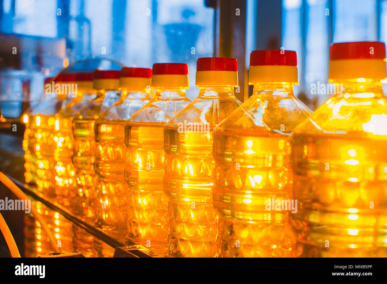 Sunflower oil. Factory line of production and filling of refined oil ...