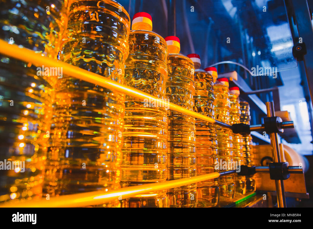 Sunflower oil. Factory line of production and filling of refined oil ...