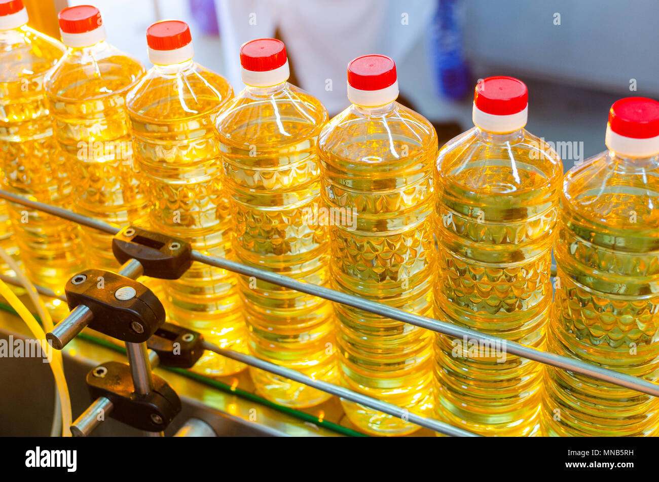 Sunflower oil. Factory line of production and filling of refined oil ...