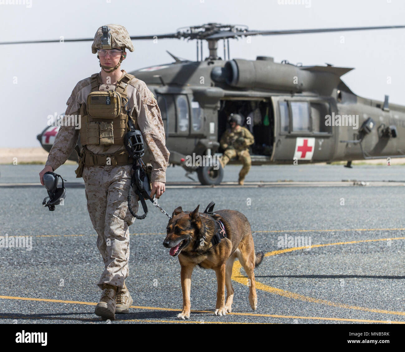 Sergeant Suzette Clemons, a military dog handler with the 1st Marine ...