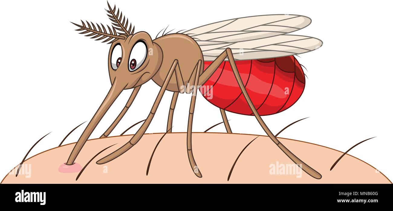 cartoon mosquito sucking blood Stock Vector Image & Art - Alamy