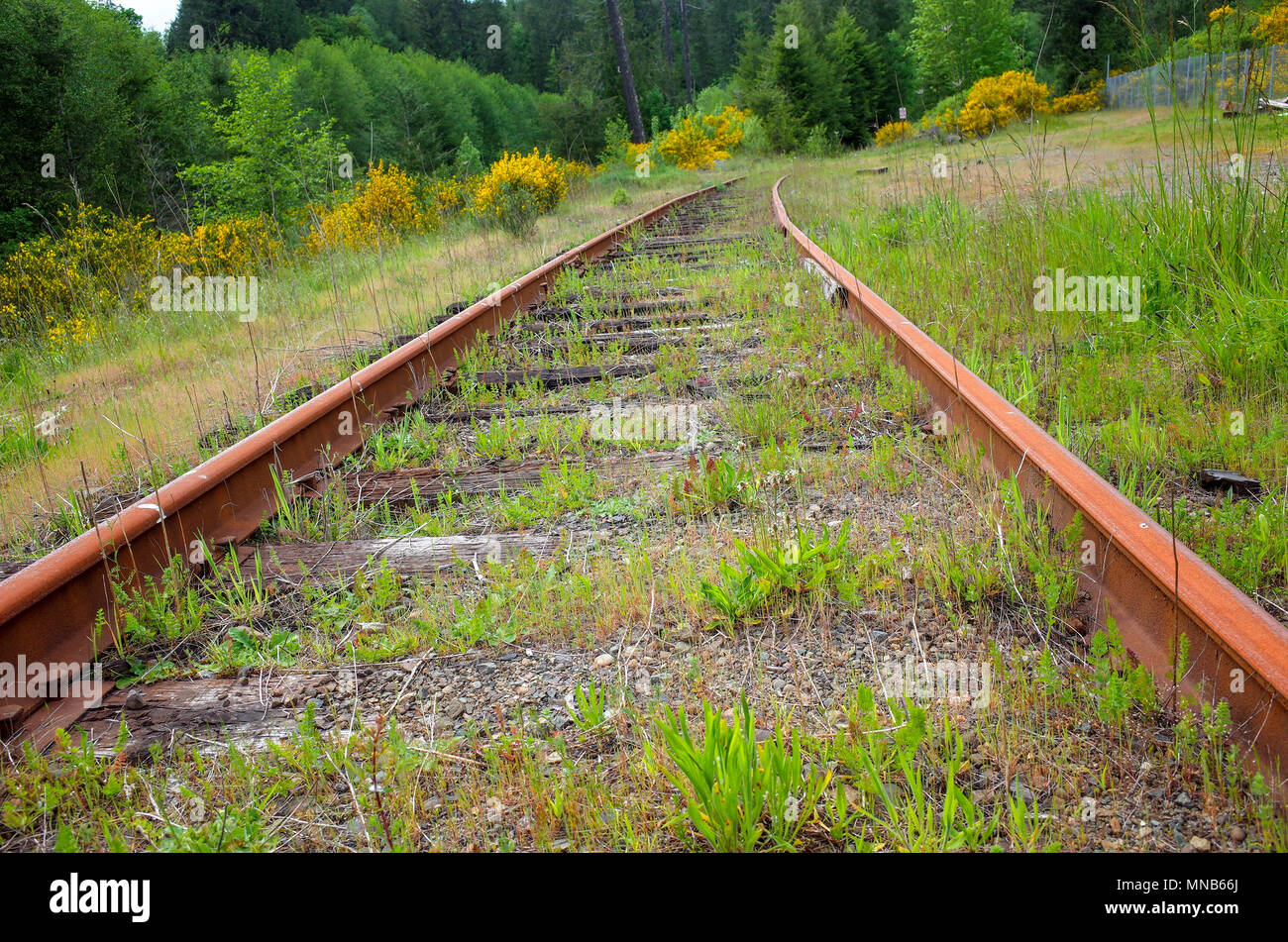 Disused railroad, railway tracks Stock Photo - Alamy Disused railroad, railway tracks Stock Photo - Alamy