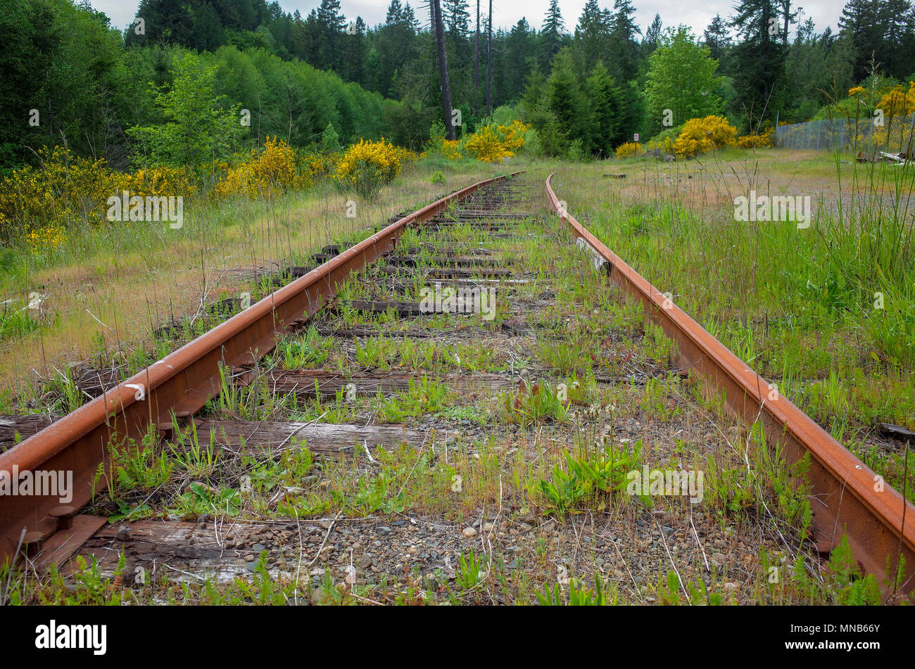 Disused railroad, railway tracks Stock Photo - Alamy