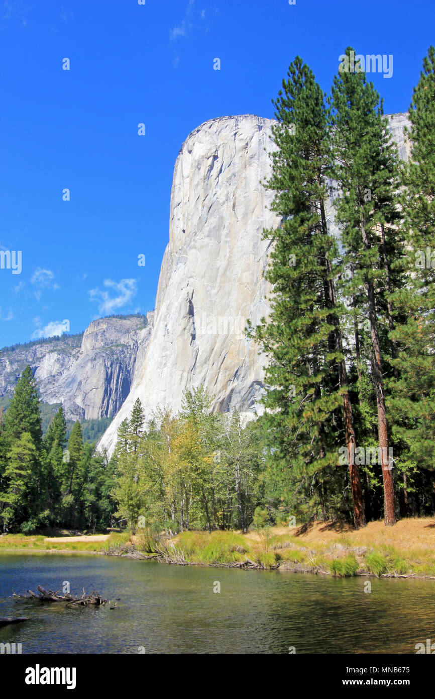 The famous mountain El Capitan, the nose in the Yosemite National Park ...