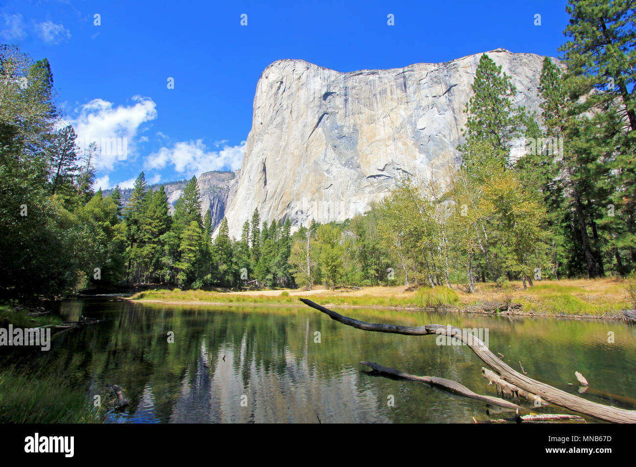 The famous mountain El Capitan, the nose in the Yosemite National Park ...
