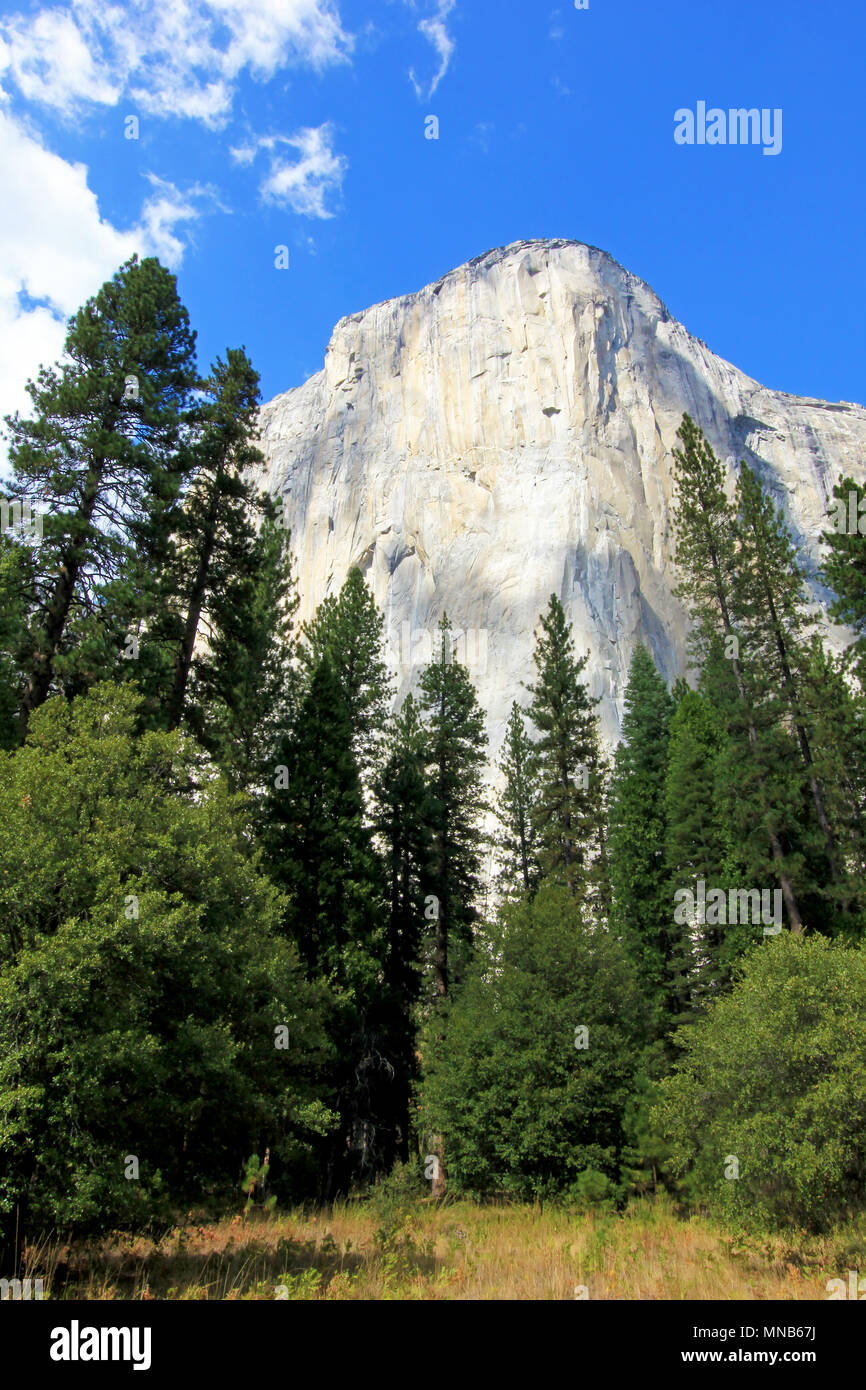The famous mountain El Capitan, the nose in the Yosemite National Park ...