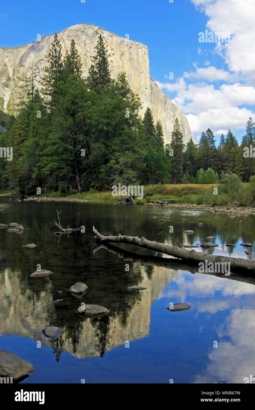 The famous mountain El Capitan, the nose in the Yosemite National Park ...