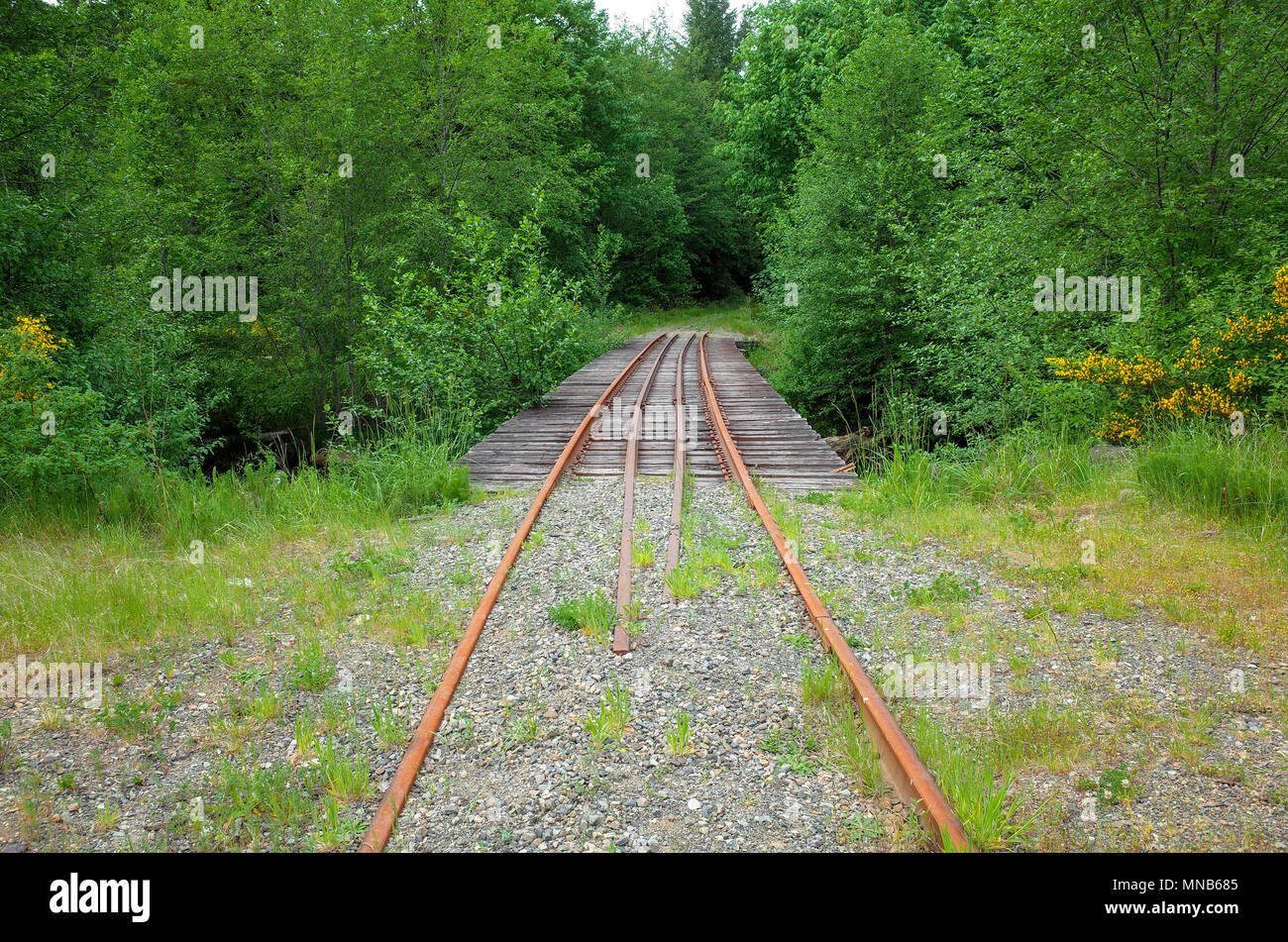Disused railroad, railway tracks Stock Photo - Alamy