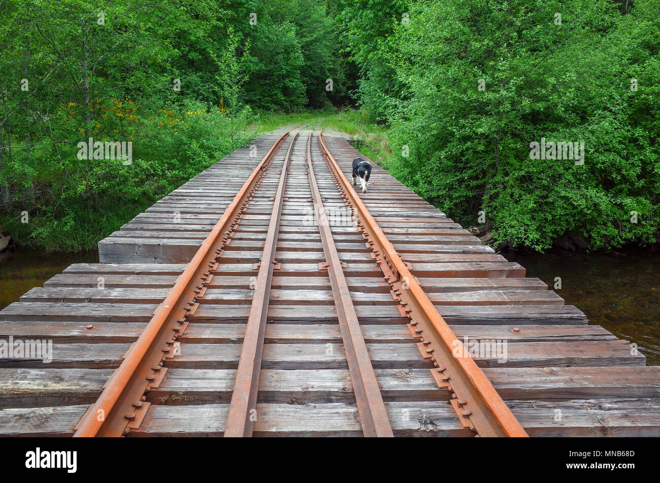 Disused railroad, railway tracks Stock Photo - Alamy