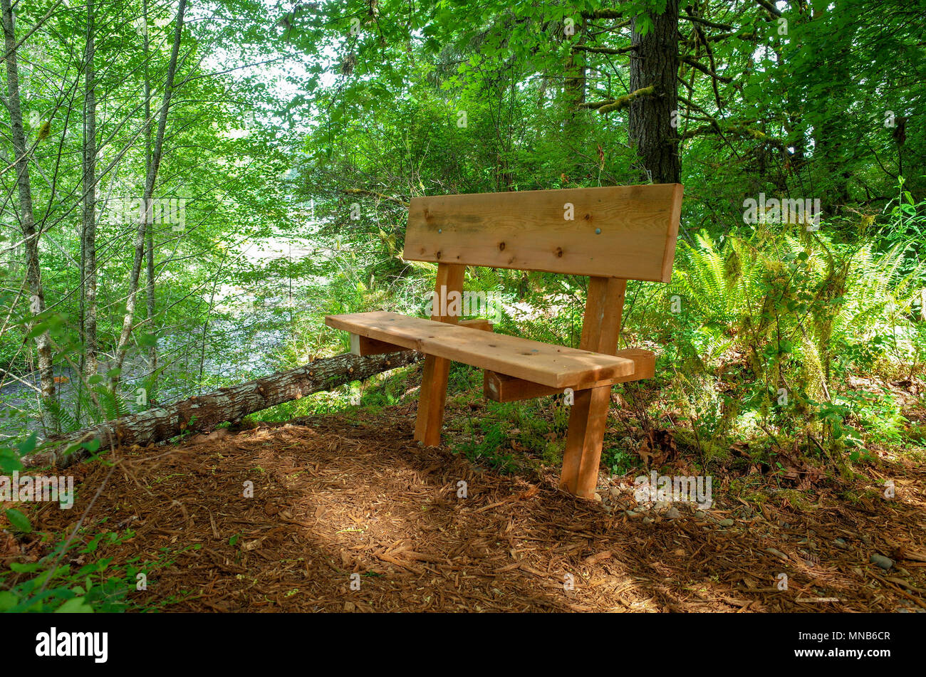 Woodin bench hi-res stock photography and images - Alamy