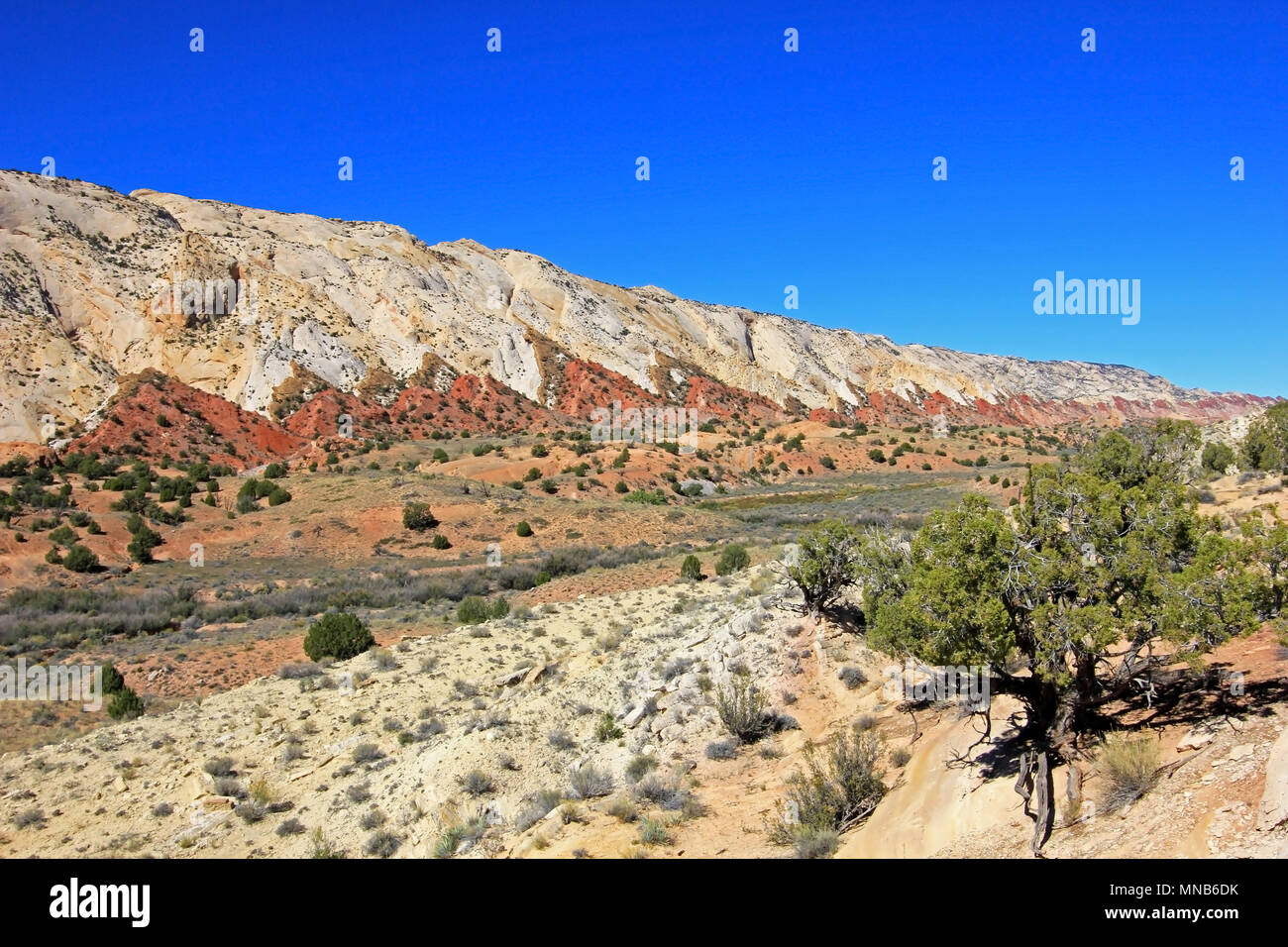 The Waterpocket Fold in Capitol Reef National Park, USA Stock Photo - Alamy