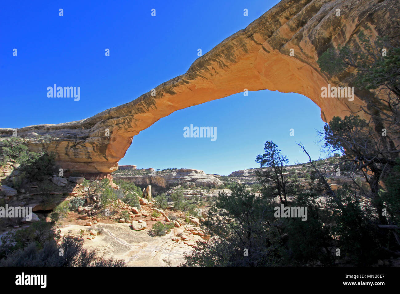 Owachomo bridge or arch in Natural Bridges National Monument, USA Stock ...
