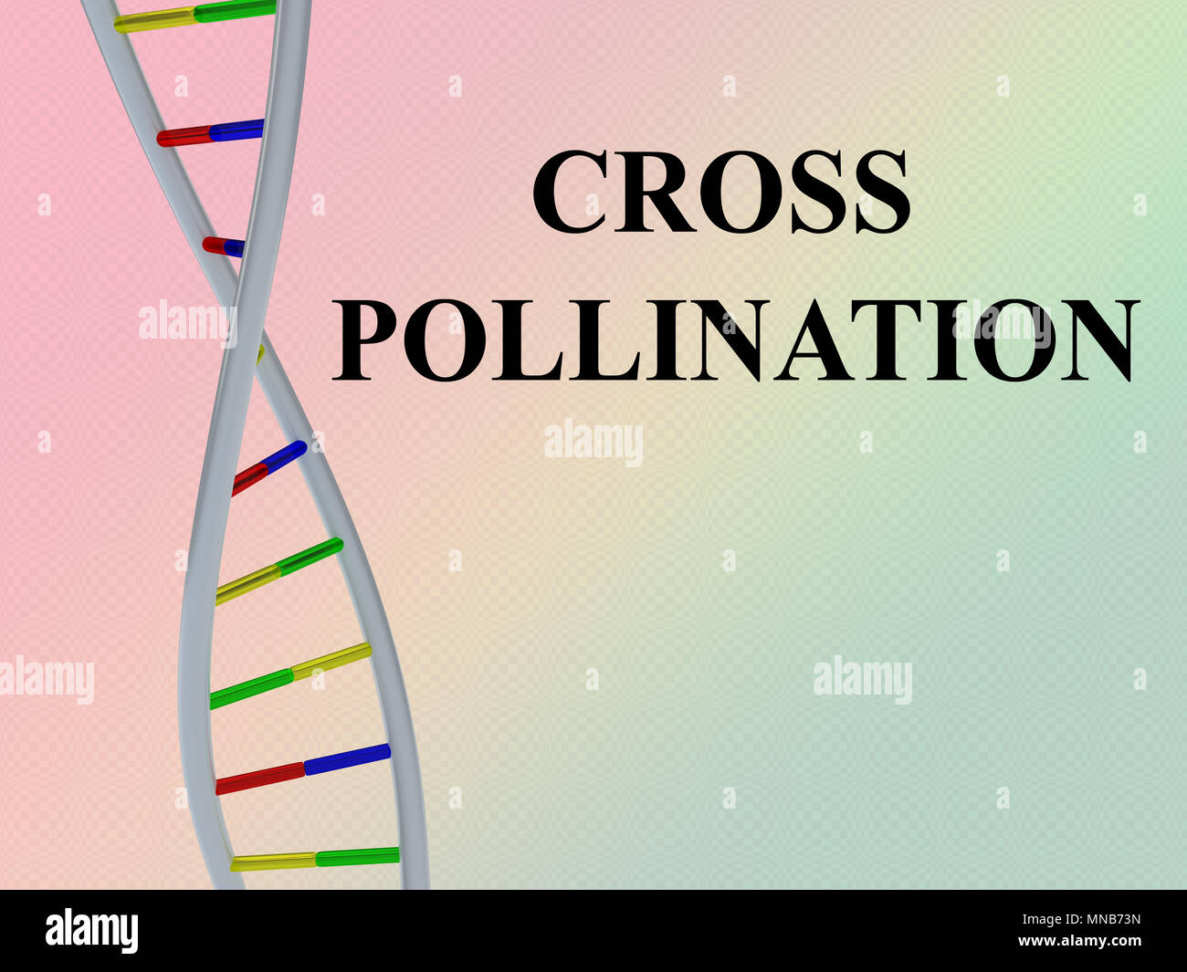 Dna double helix cross section hi-res stock photography and images - Alamy