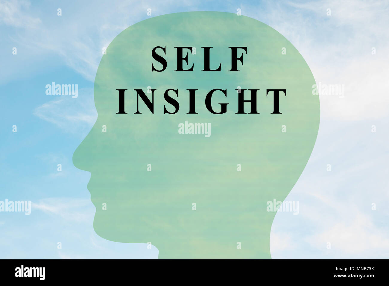 Render illustration of SELF INSIGHT title on head silhouette, with ...