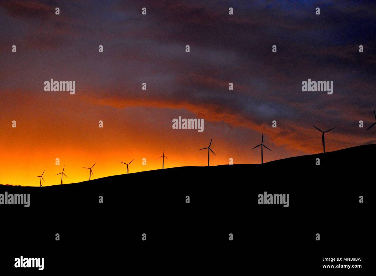 Oregon coast wind turbine hi-res stock photography and images - Alamy