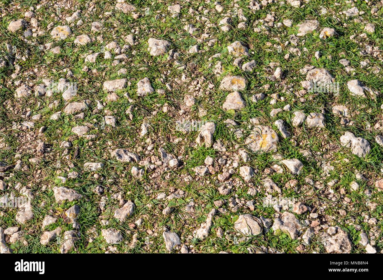 rock and grass Stock Photo - Alamy