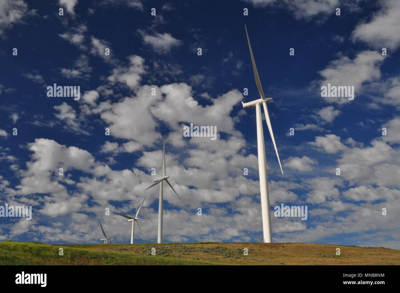 Washington wind turbines Stock Photo - Alamy