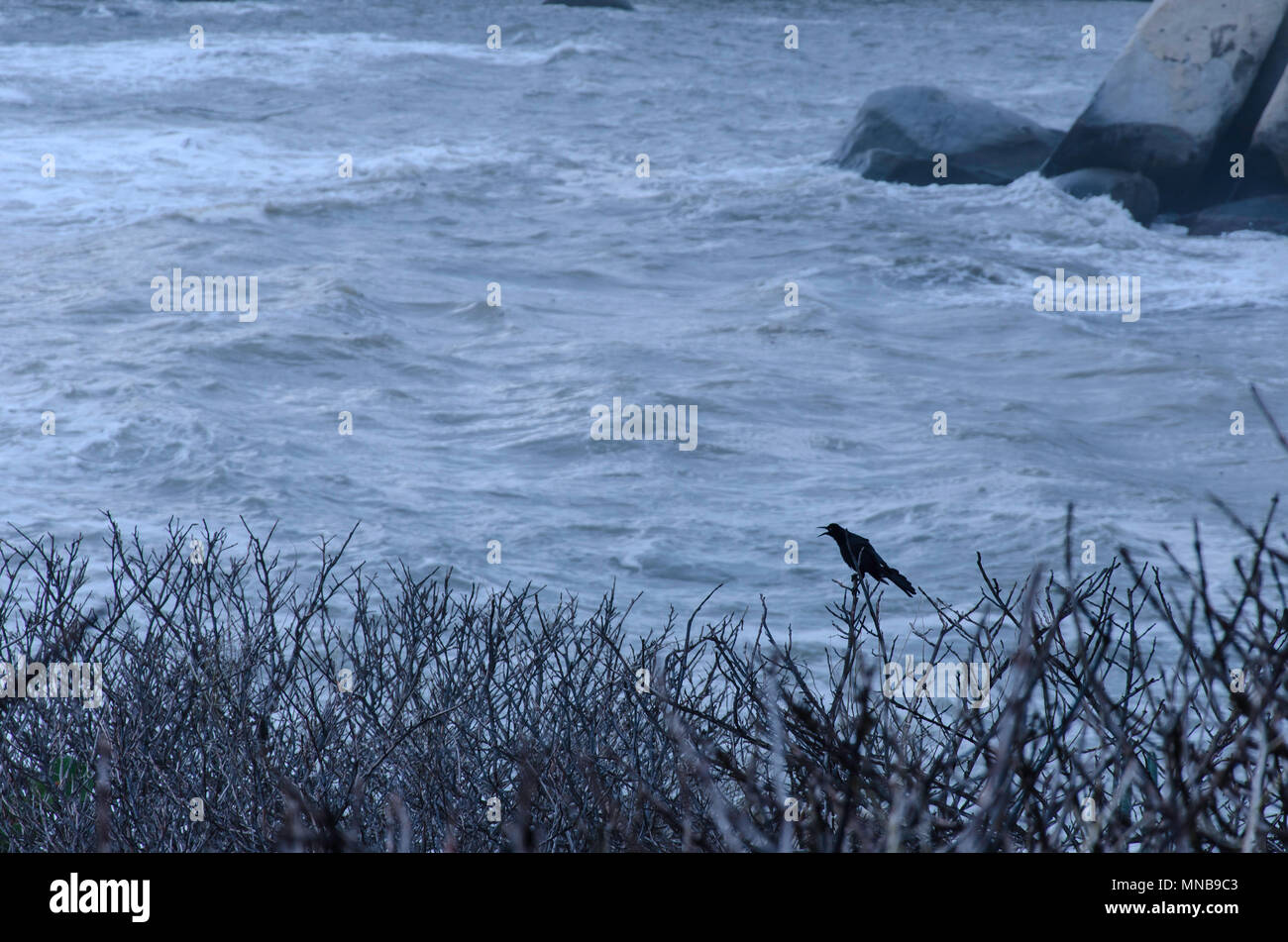 Depressing ocean hi-res stock photography and images - Alamy