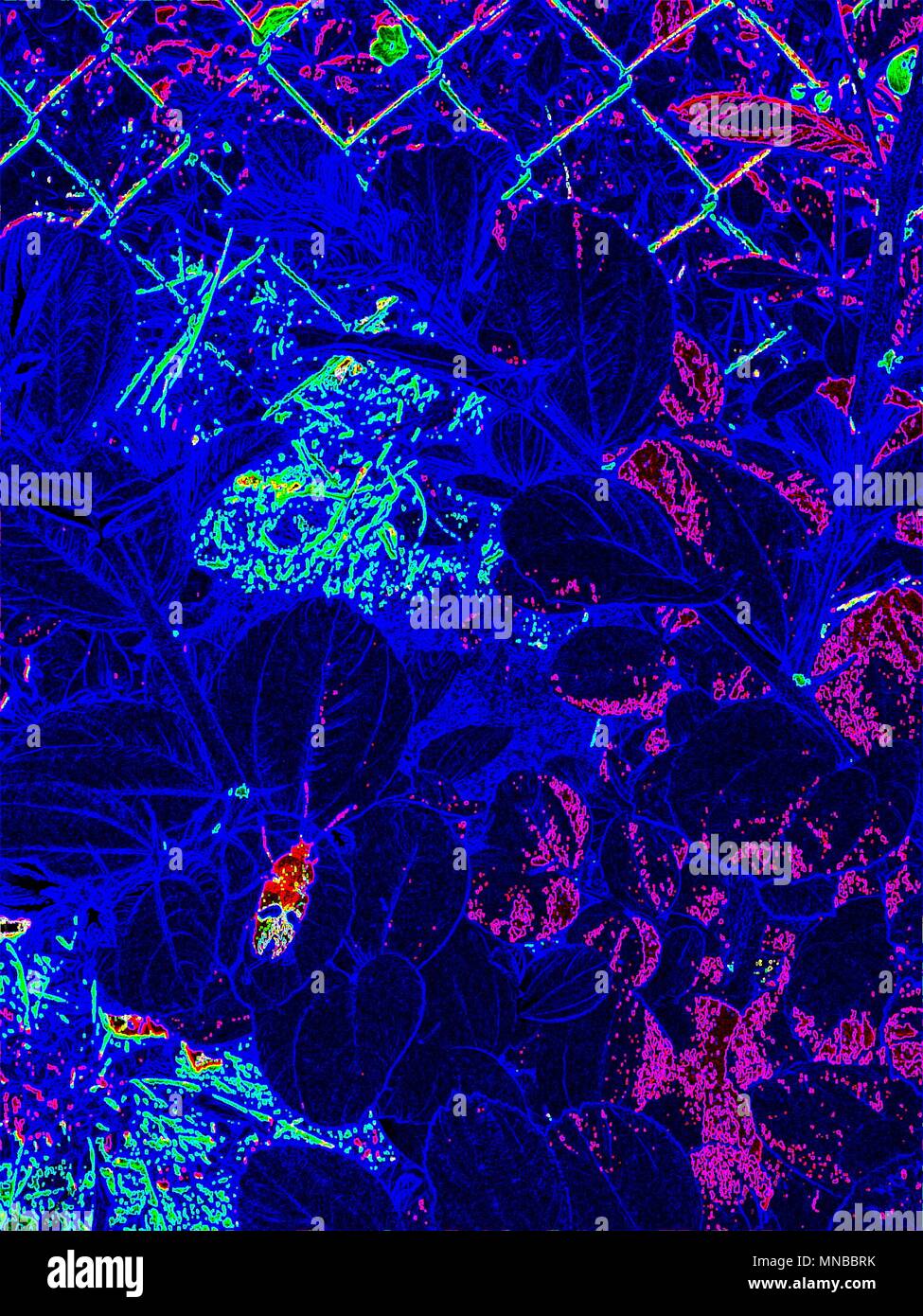 Bug in Abstract nature, modern backgrounds Stock Photo - Alamy