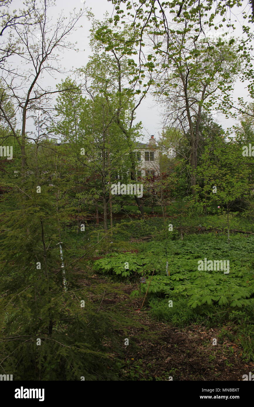 Professionally landscaped backyard in an upscale residential ...