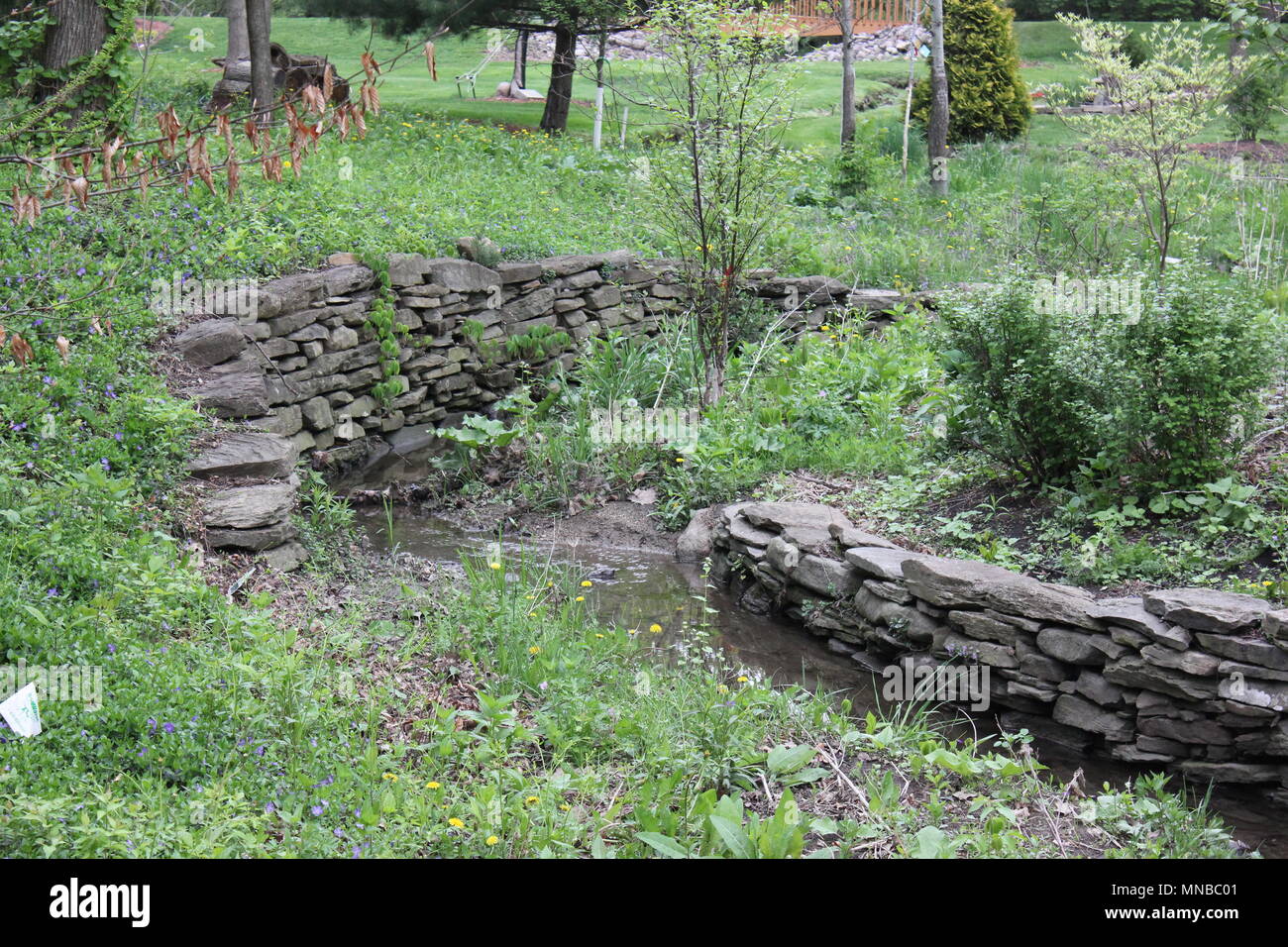 Professionally landscaped backyard in an upscale residential ...