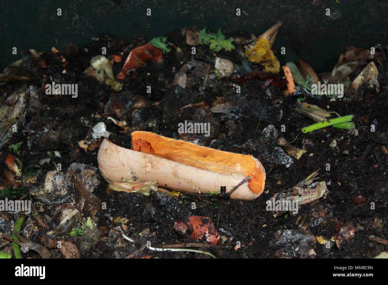 Free composting of green waste hi-res stock photography and images - Alamy