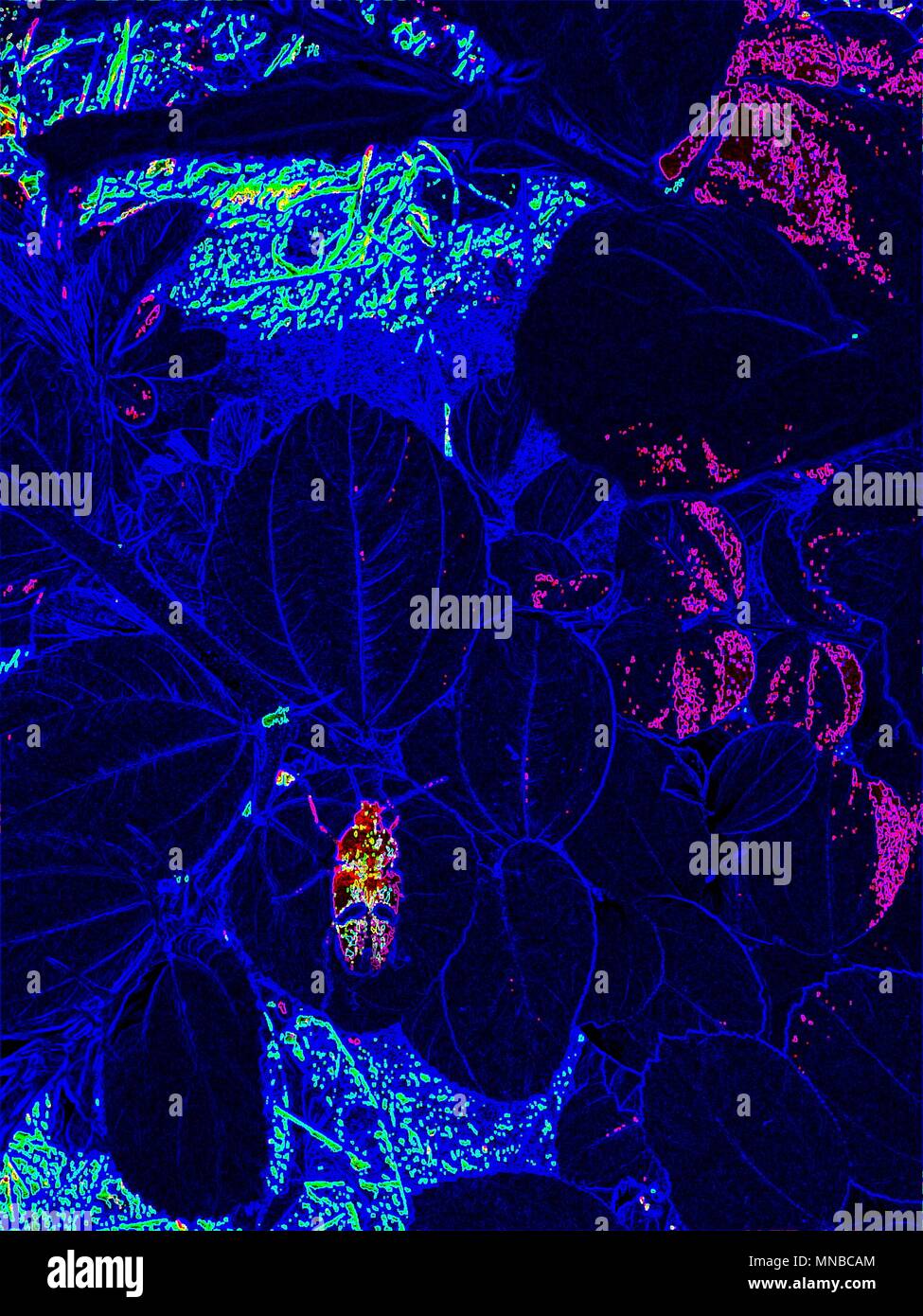 Bug in Abstract nature, modern backgrounds Stock Photo - Alamy