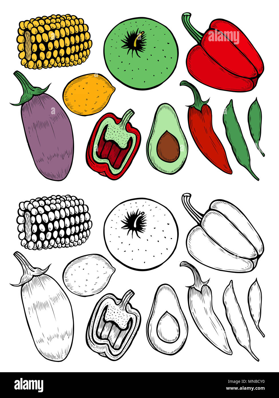 Red Fruits And Vegetables Drawing