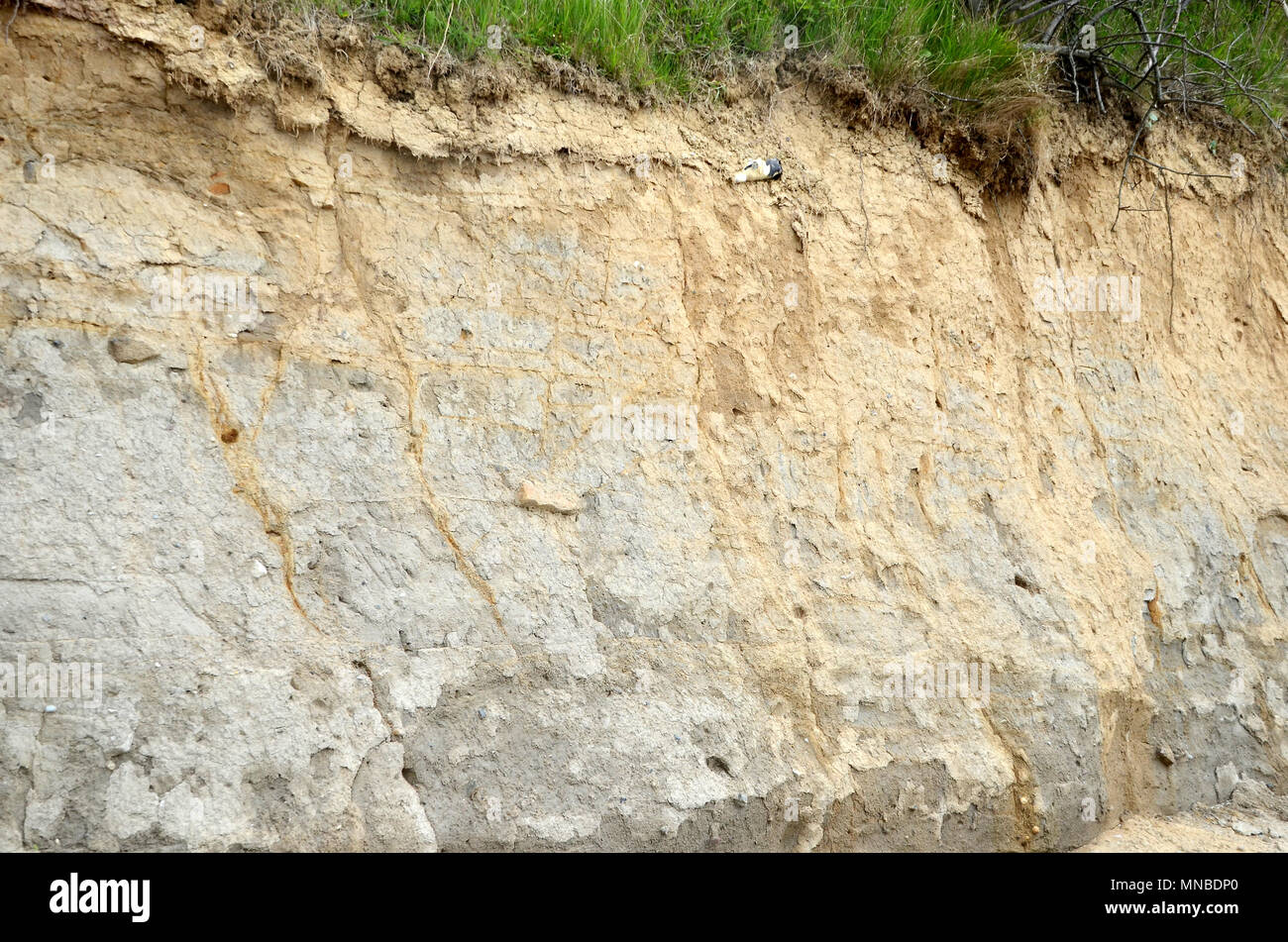 Slope with clay soil after a slide. This clay contains approx 3% iron ...