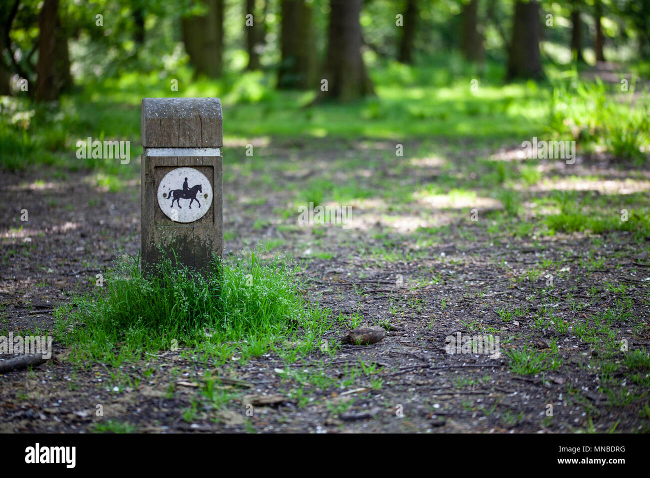 Country bridlepath signpost hi-res stock photography and images - Alamy