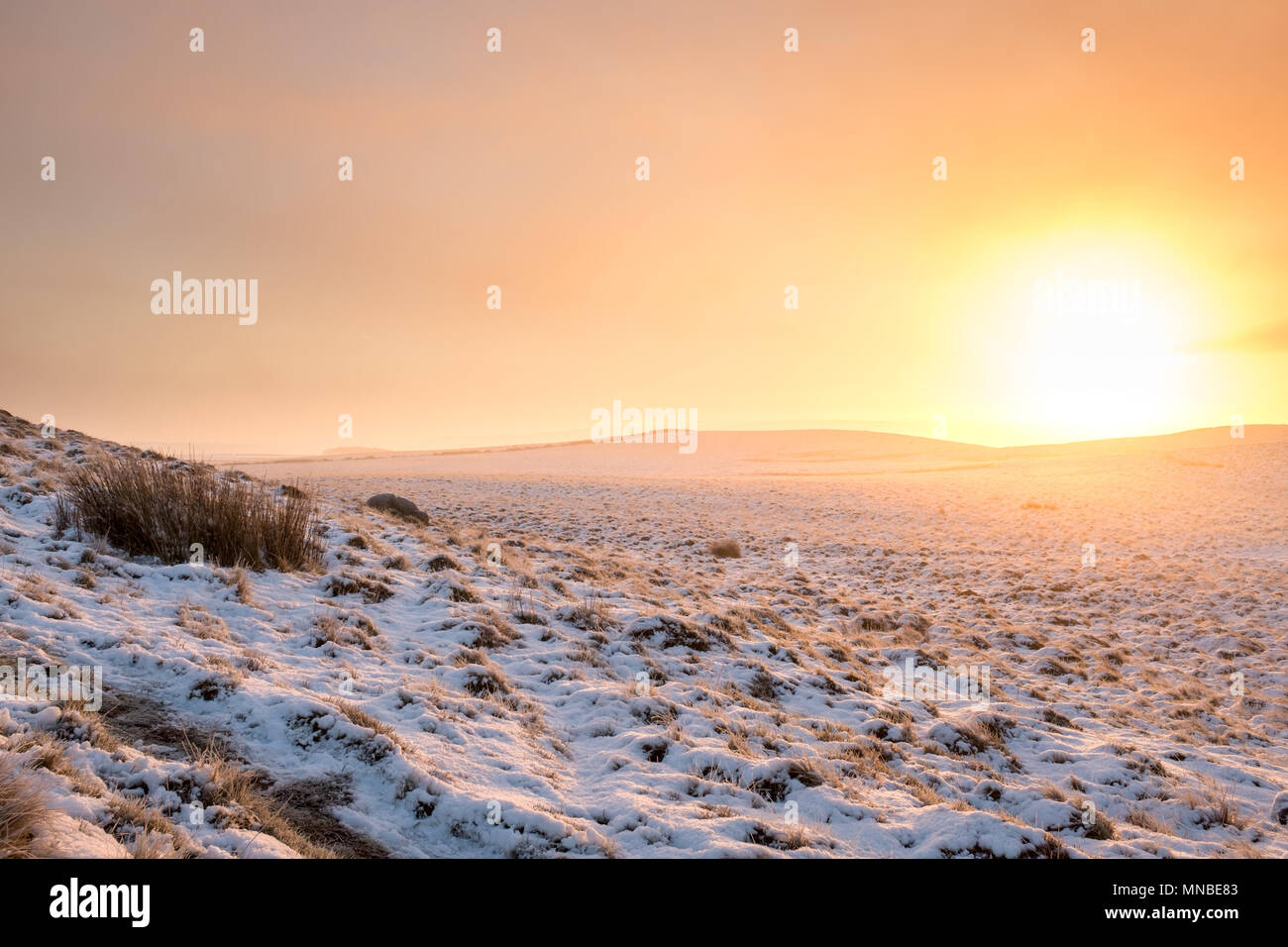 Winter sunrise of the snowy moors Stock Photo - Alamy
