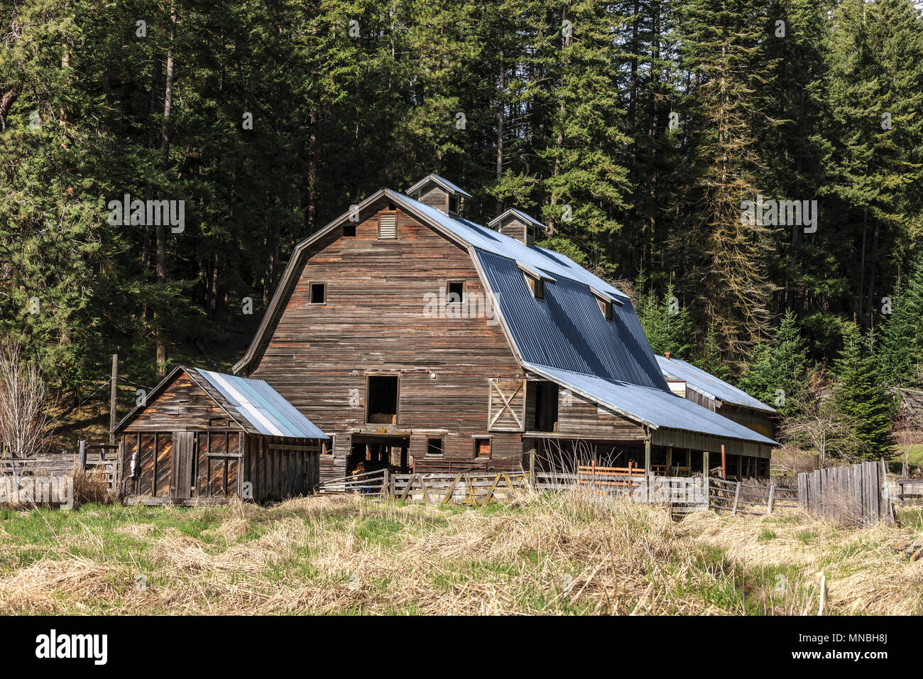 An old rustic barn in the country near Coeur d'Alene, Idaho Stock Photo ...